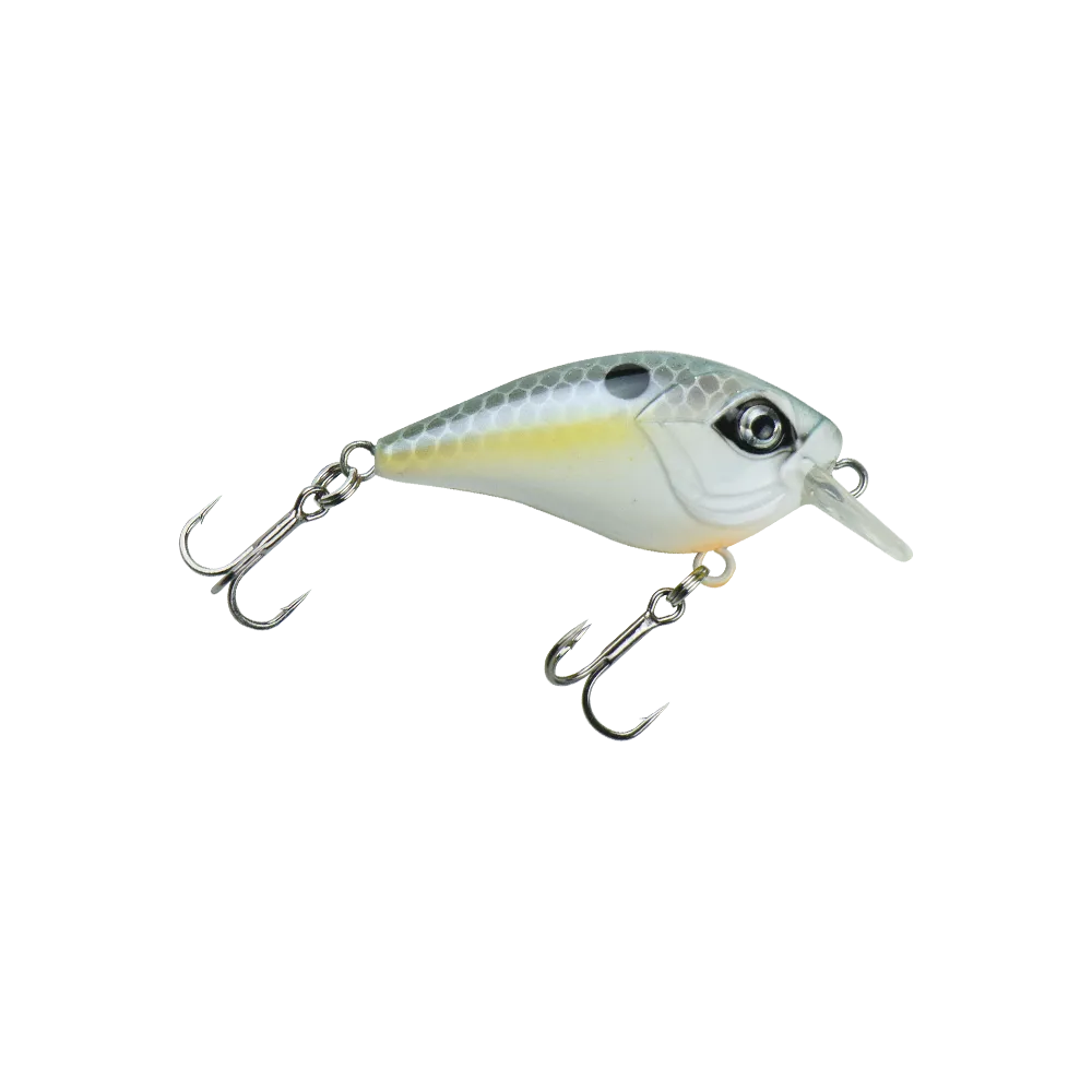 5cm Sexy Shad Mini Comet Cullem Pro Series – Baits4U TA VISKAS